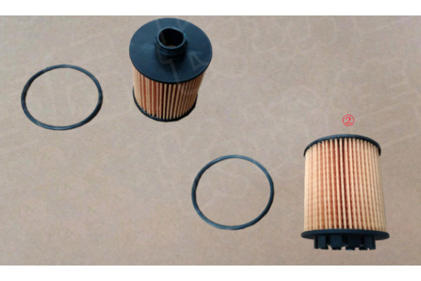 GREAT WALL 1017110XEN01 16 125 659 80,1017110XEN01,92365780