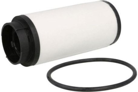 JS FE23001 MK667920,500054702