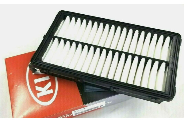 Hyundai / KIA 28113-L1000 28113-L1000